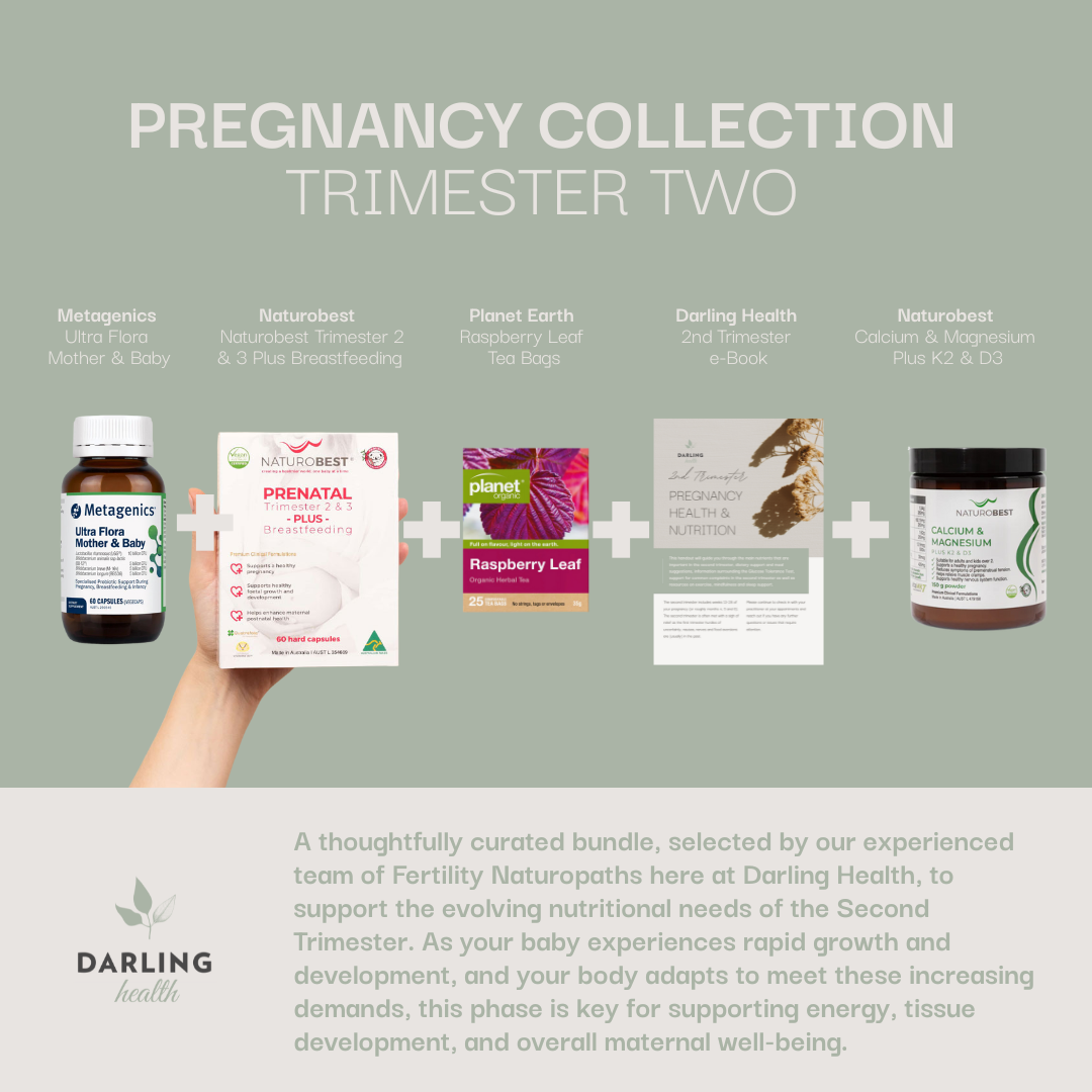 Pregnancy Trimester Two